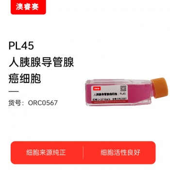 PL45（人胰腺导管腺癌细胞）_人源细胞系_细胞系_澳睿赛生物技术（上海）有限公司 - 专业细胞生物学供应商