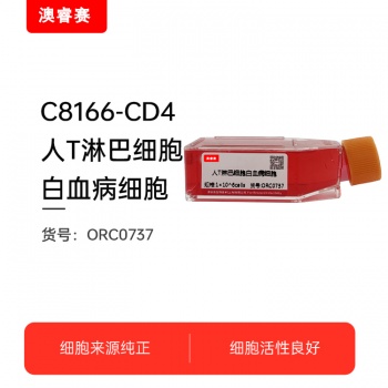 C8166-CD4 人T淋巴细胞白血病细胞_人源细胞系_细胞系_澳睿赛生物技术（上海）有限公司 - 专业细胞生物学供应商