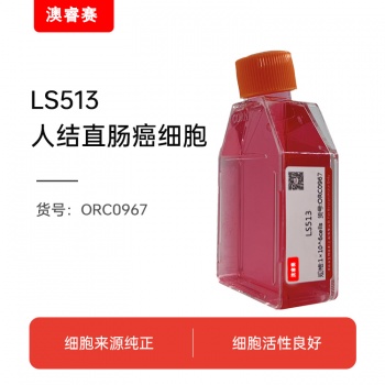 LS513（人结直肠癌细胞）_人源细胞系_细胞系_澳睿赛生物技术（上海）有限公司 - 专业细胞生物学供应商