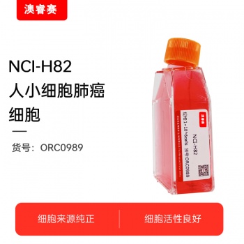 NCI-H82（人小细胞肺癌细胞）_人源细胞系_细胞系_澳睿赛生物技术（上海）有限公司 - 专业细胞生物学供应商